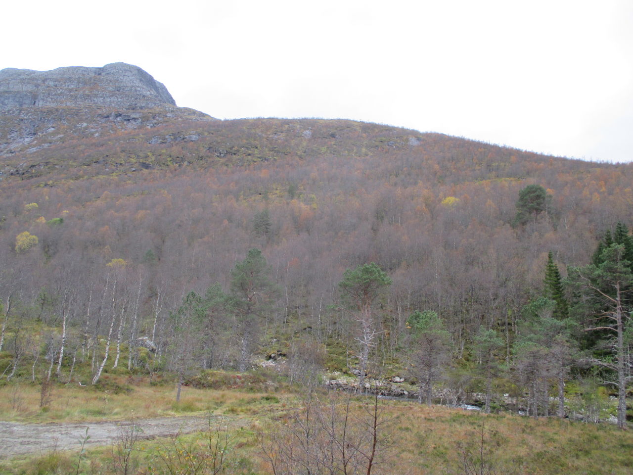 Breidalen rundt frå Langedalen (Gloppen)