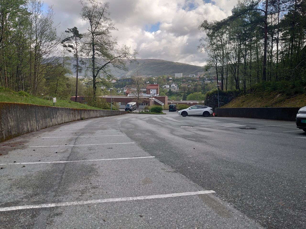 Trillende gjennom Langeskogen