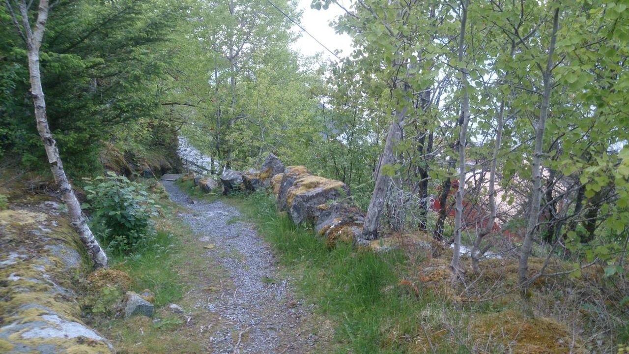 Vingsand - Håmannsvika - Estenvikhallin i Osen