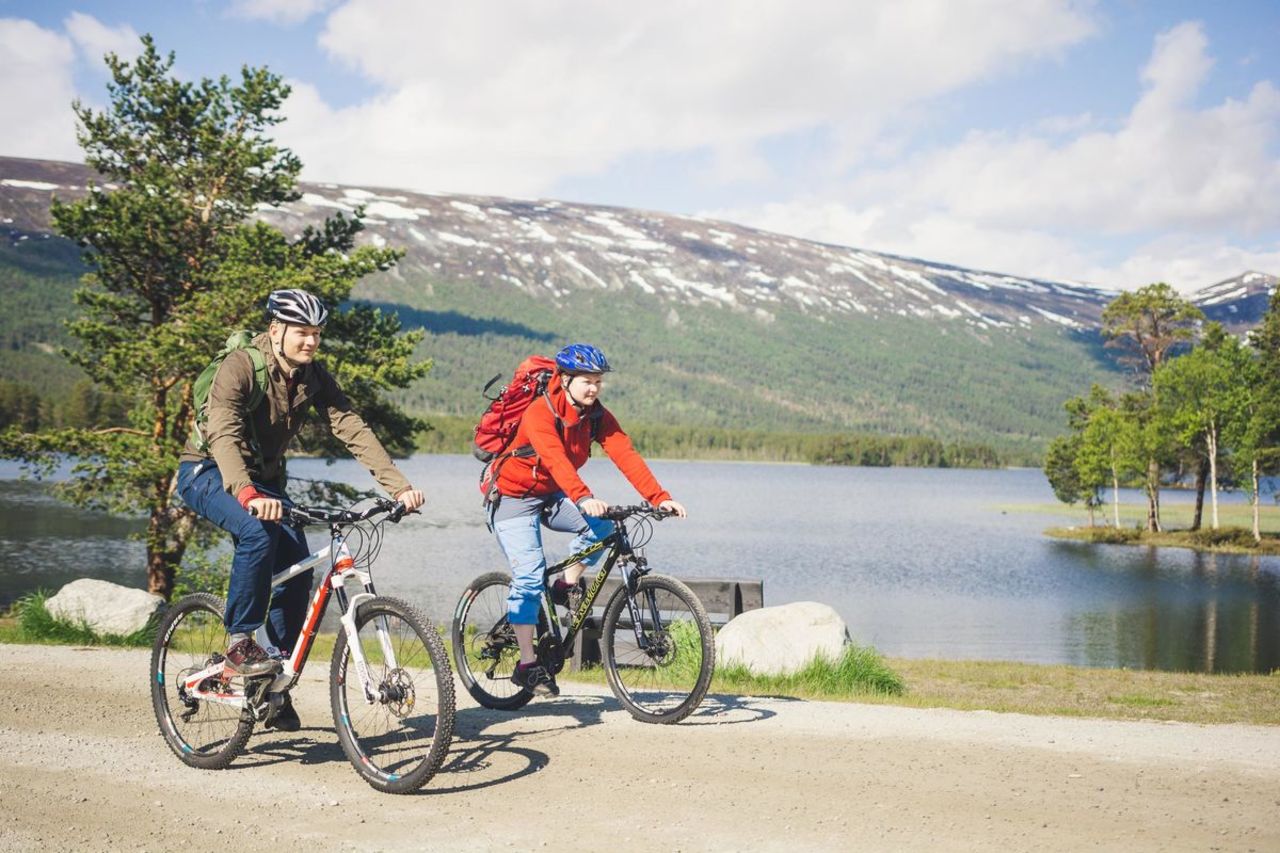 Sykkeltur ved Lesjaverk