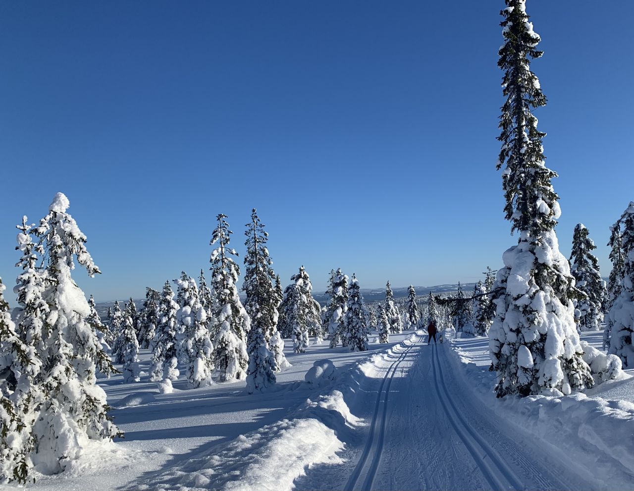 På ski fra Budor til Savalsætra