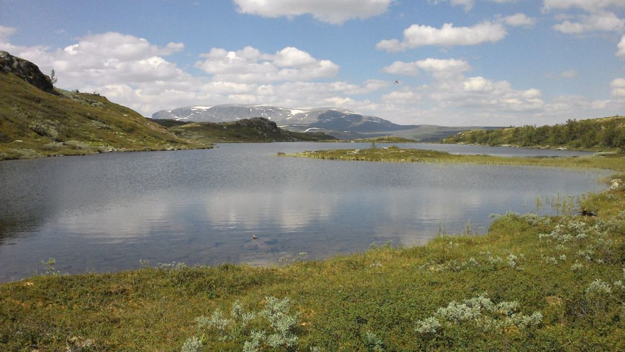 Hytte til hyttetur-Geilo-Hakkesetstølen-Tuva-Krækkja-Finsehytta