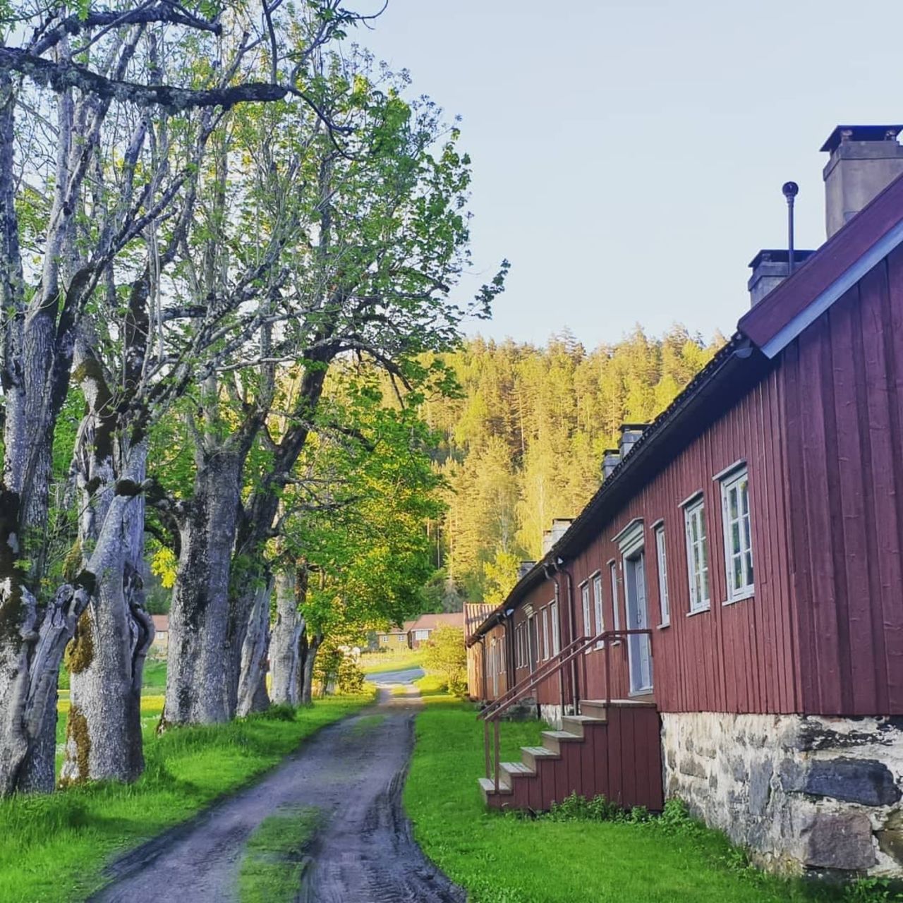 Vasstøvannet rundt i Gjerstad kommune