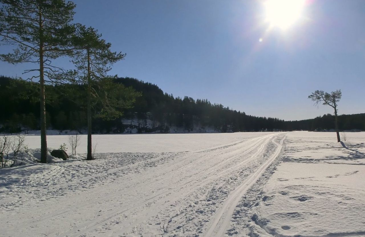 Utenfor løype i eventyrskogen på Mellomkollen