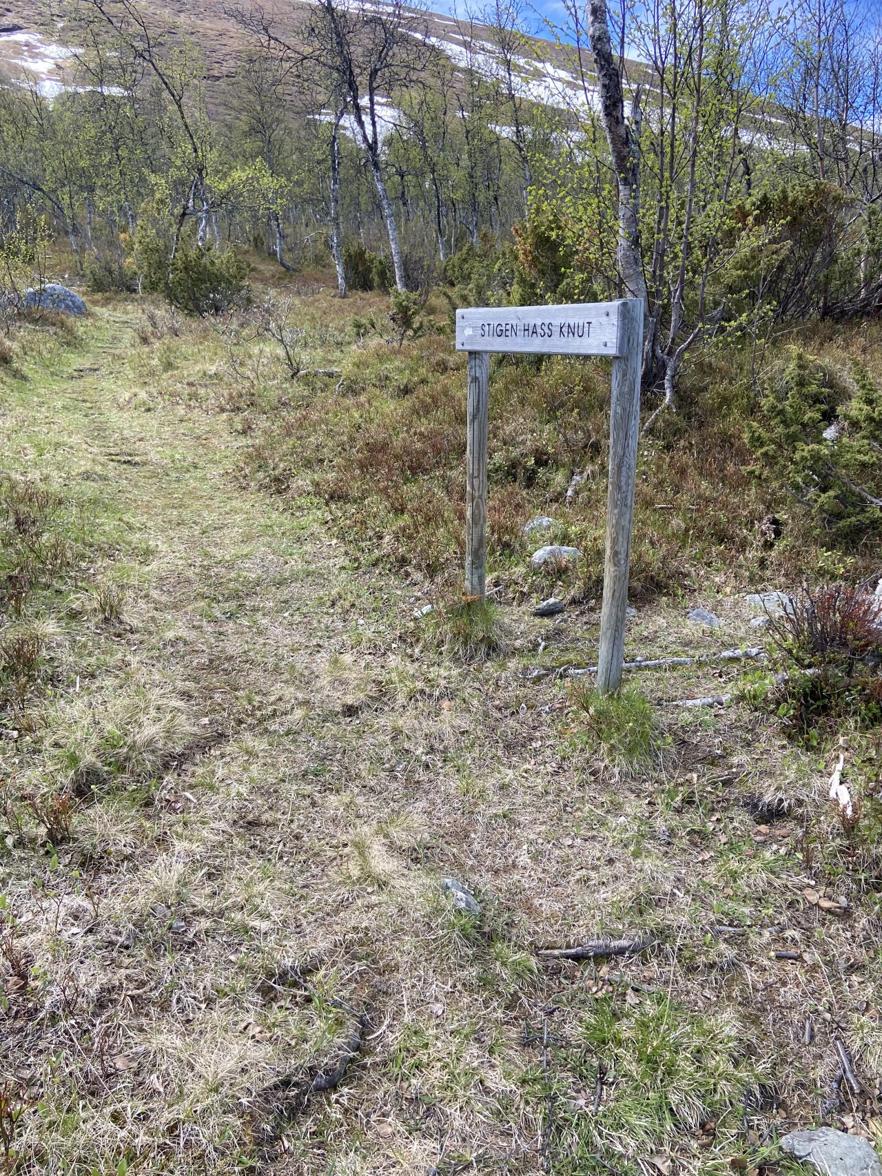 Stigen hans Knut, Helin