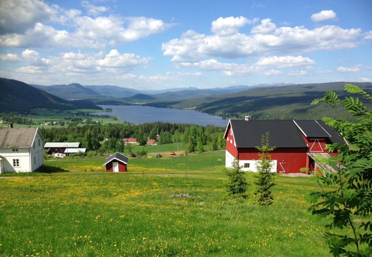 Prestfoss rundt på sykkel