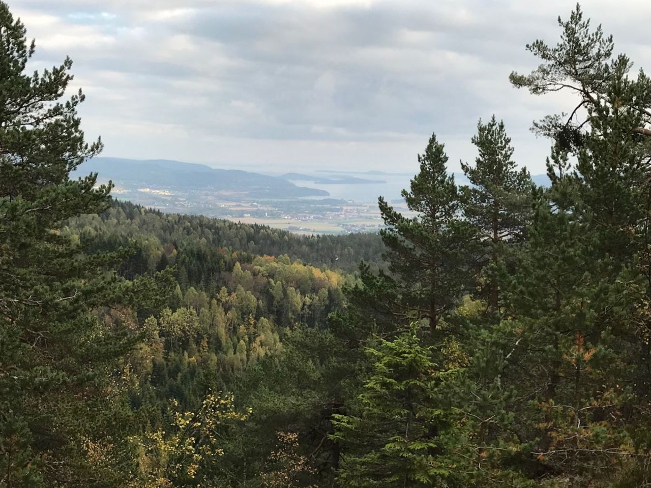 Sykkeltur rundt Vestskogen
