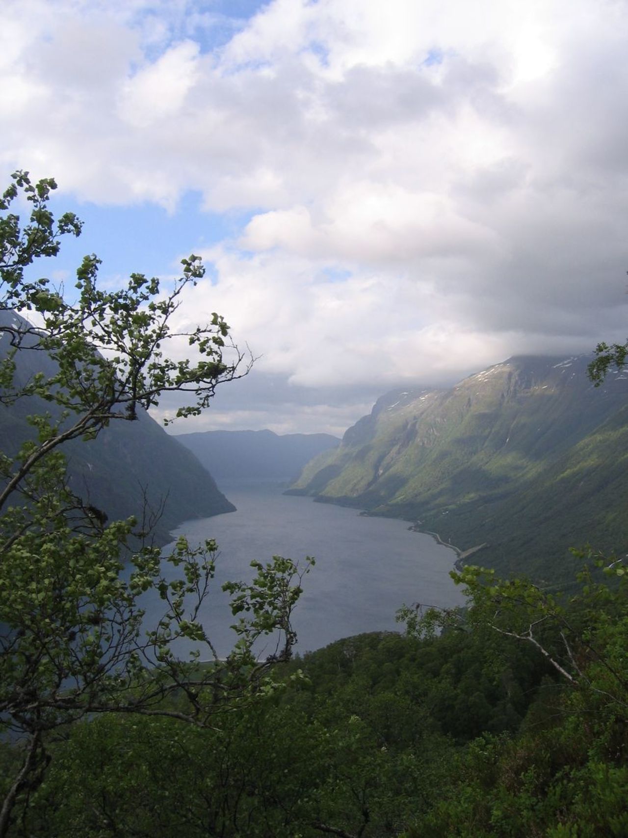 Holme - Holmestøylen (600 moh) Hyen i Gloppen Kommune
