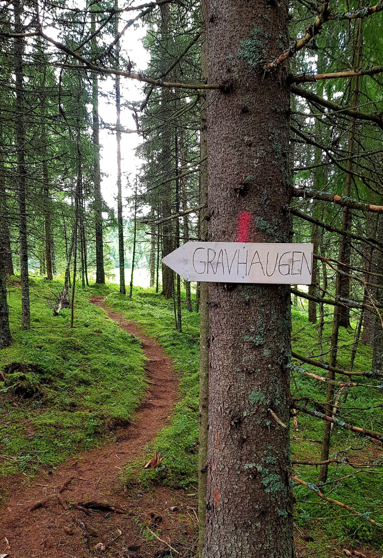 Fottur langs Oldtidsvegen fra Hunn/Skage til Øysvollkorsen