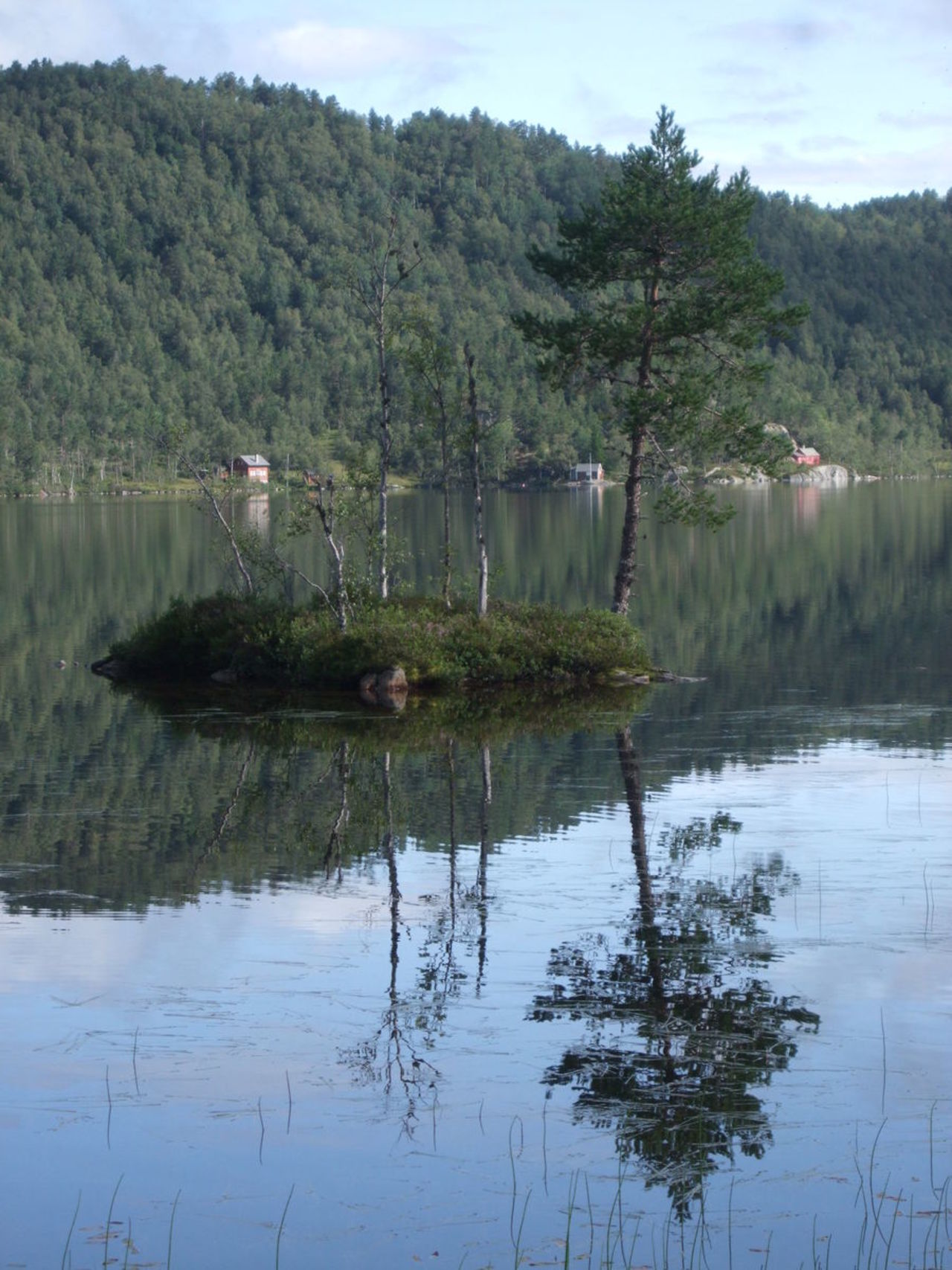 08. Svåsand - Vassenden