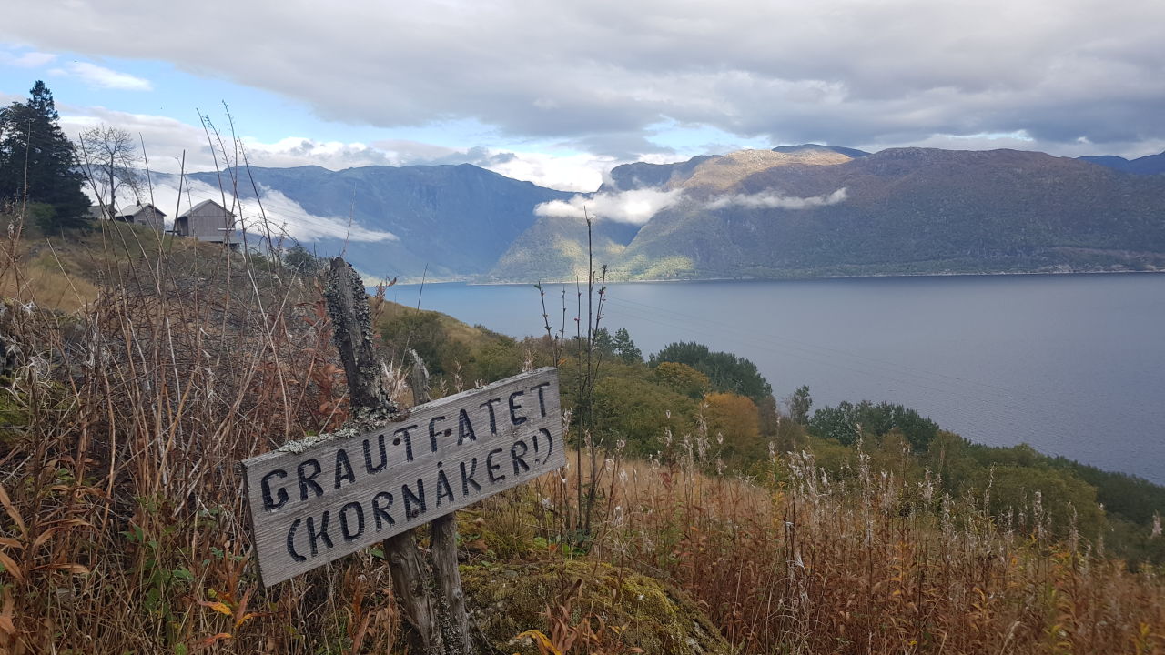 Ortnevik - Sylvarnes, unik vandring langs veglause strender ved ...