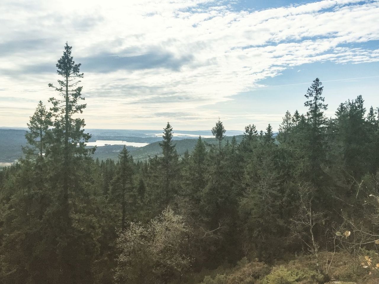 Trivelig topptur til Mellomkollen i Maridalen