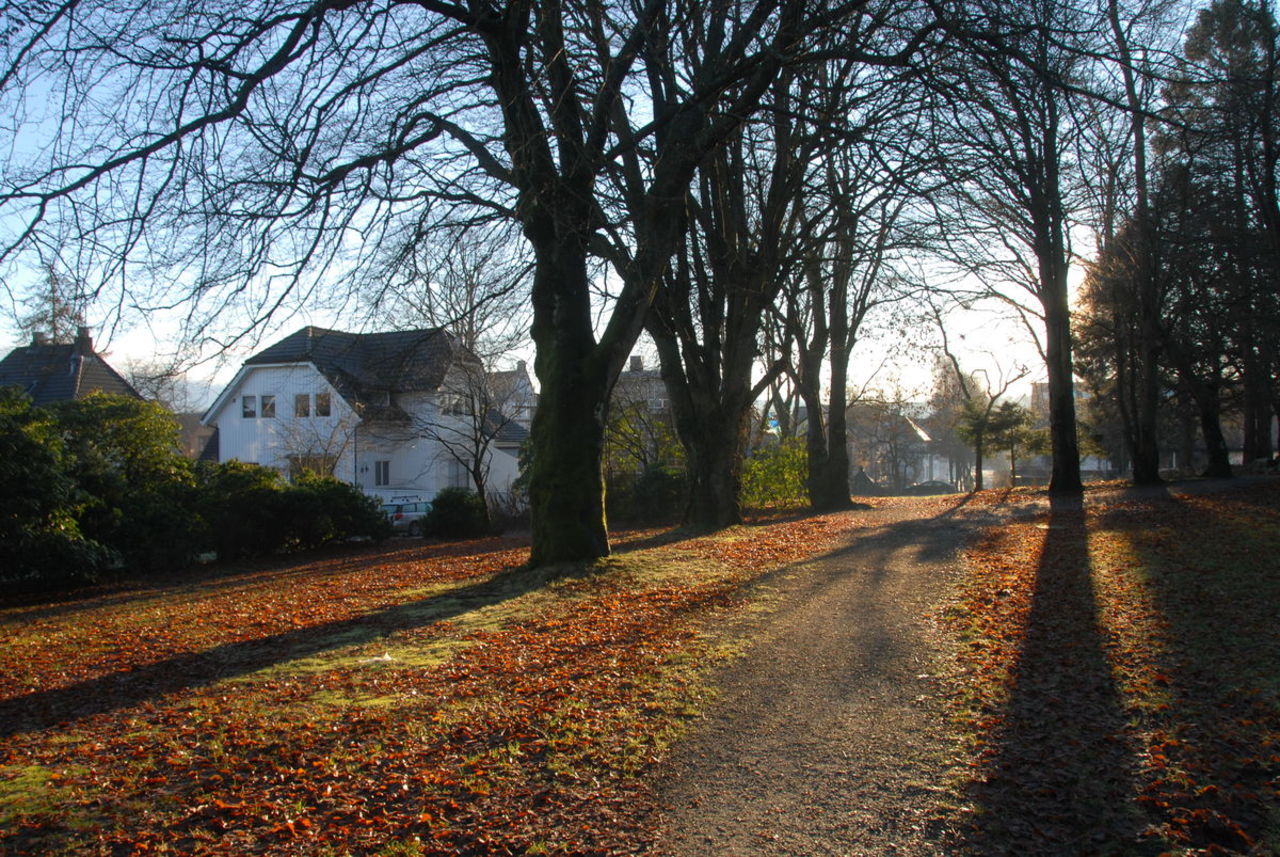 Eiganesturen