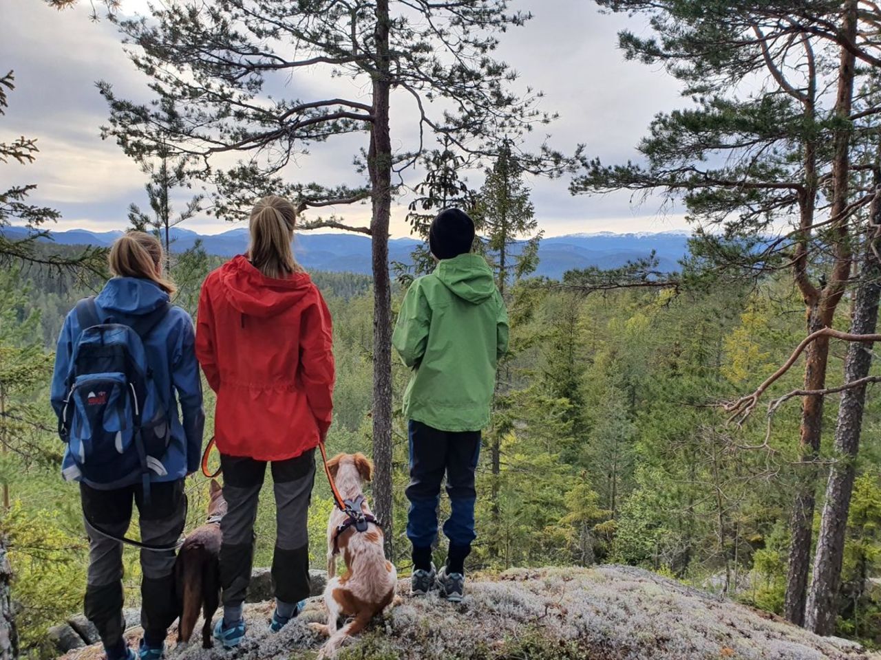 Fottur til Øygardsfjellet 350 moh