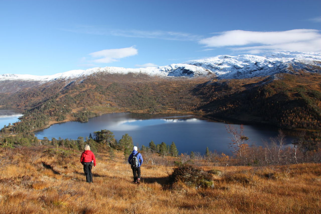 Gjengedalstøylen - Mehaugen (652 moh), Hyen i Gloppen kommune