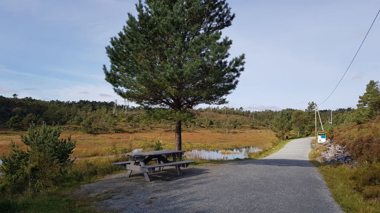 Rullestolvennlig tur i Brekkeløypa, Knarvik