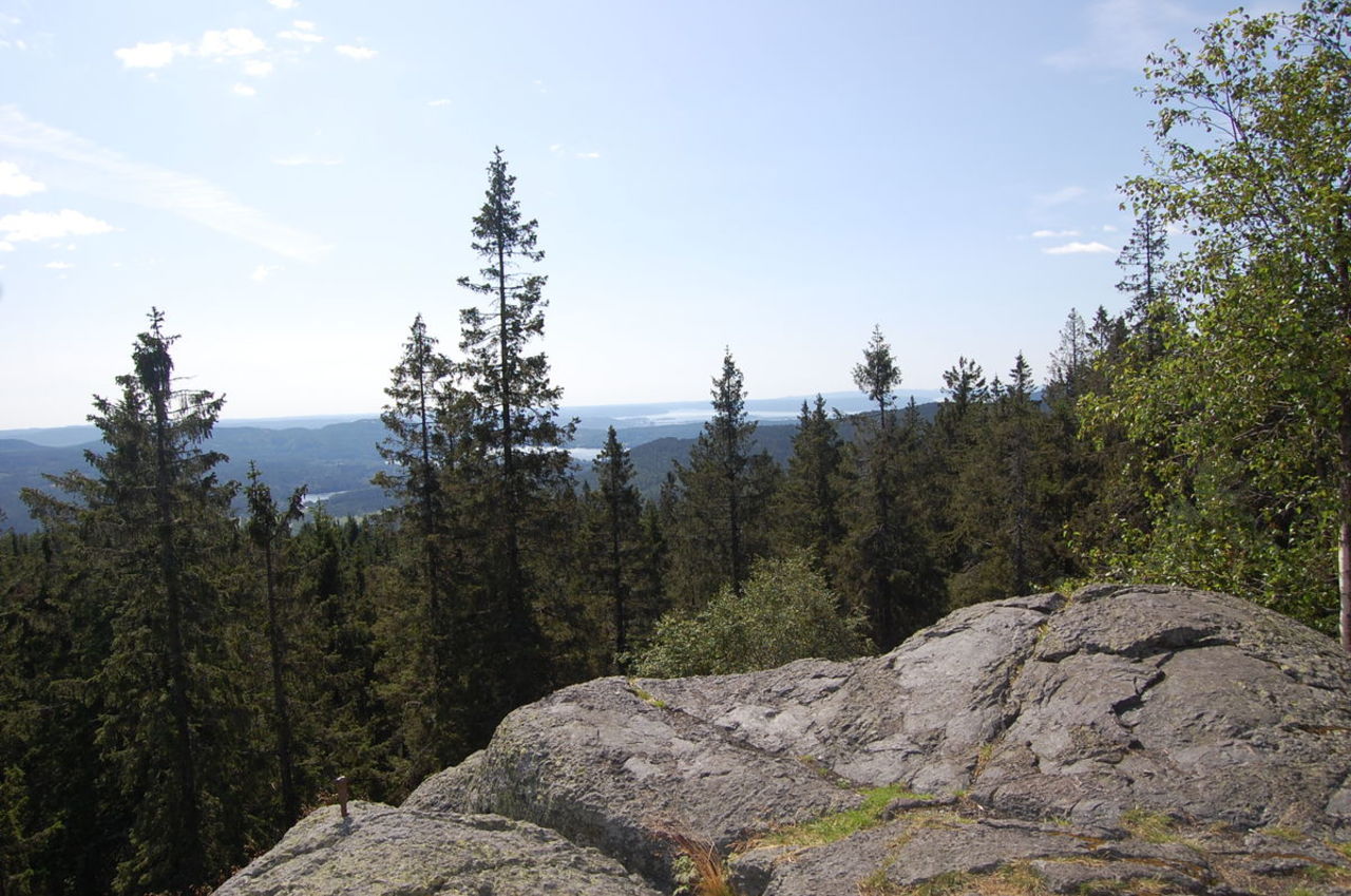 Maridalsalpene via Mellomkollen - holdeplasstur Oslo
