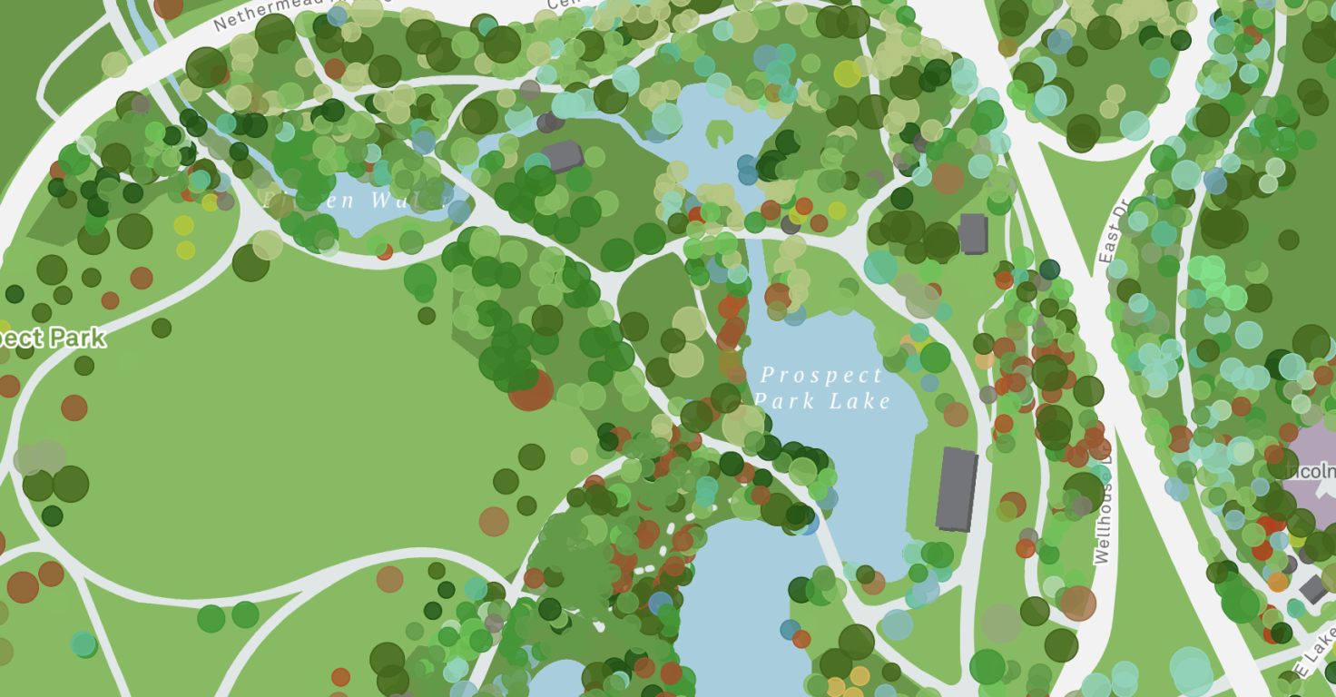 Meet the Updated NYC Tree Map