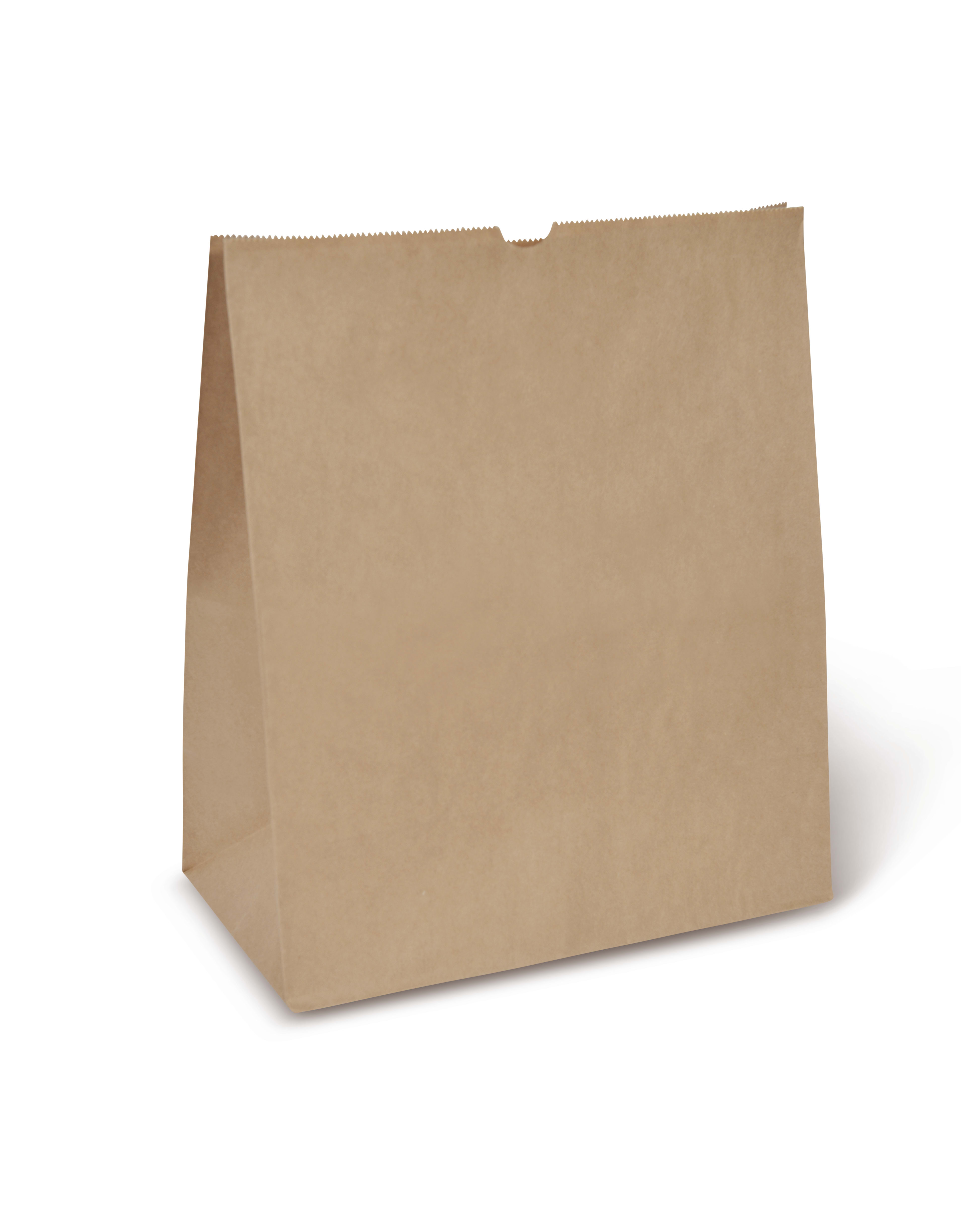 Detpak Checkout Bag - Medium - Brown-325x280x150mm-250-Carton for sale ...