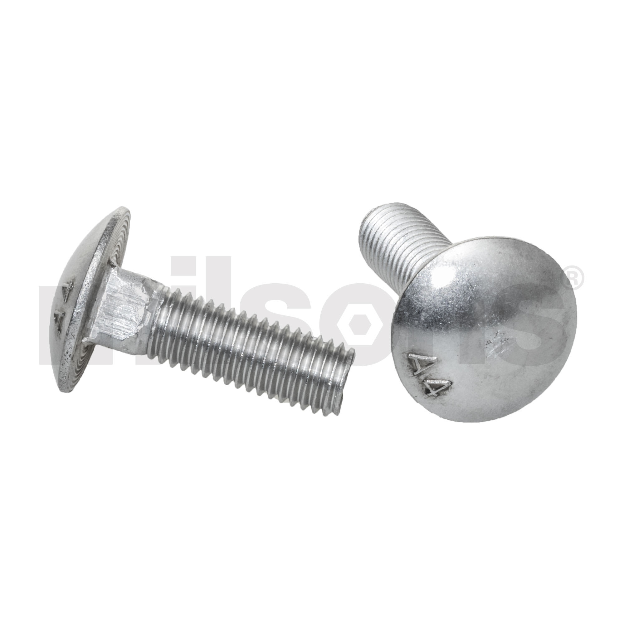 M8 x 25 SS304 Coach Bolt Only-100 Pack for sale - NZ Safety Blackwoods ...