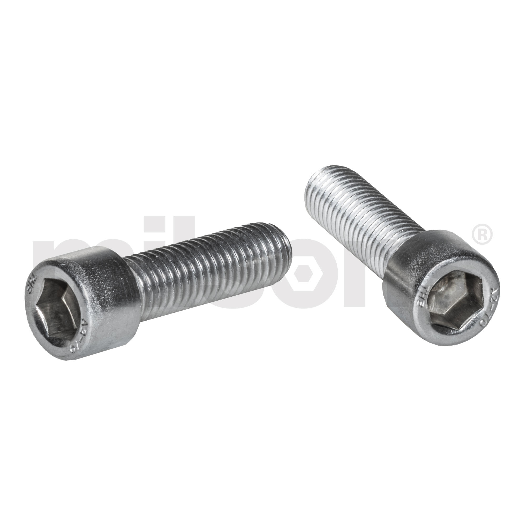 M12 x 50 SS304 Socket Head Cap Screw-50 Pack for sale - NZ Safety ...