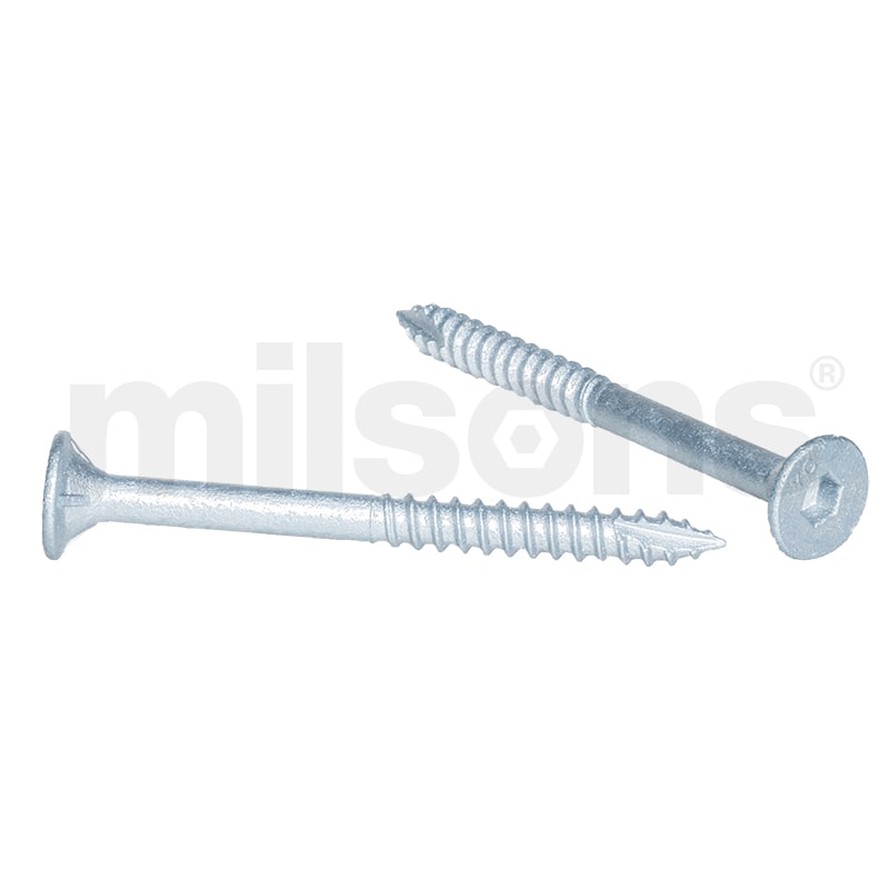 Bugle Screws for Sale | NZ Safety Blackwoods