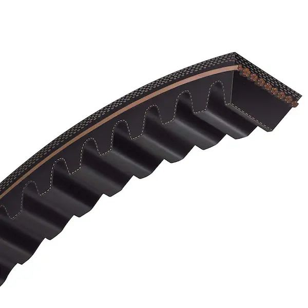Vee belt A section Cogged AX 26-(AX26)-each for sale - NZ Safety ...