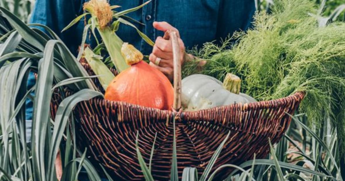 Eat the Veg Patch | Obby