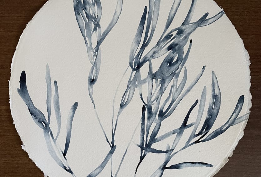 Shadow Ink Drawing | Obby