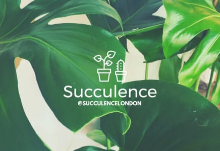 Succulence - Classes, courses and workshops on Obby
