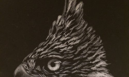 Drop In Art Classes | Obby