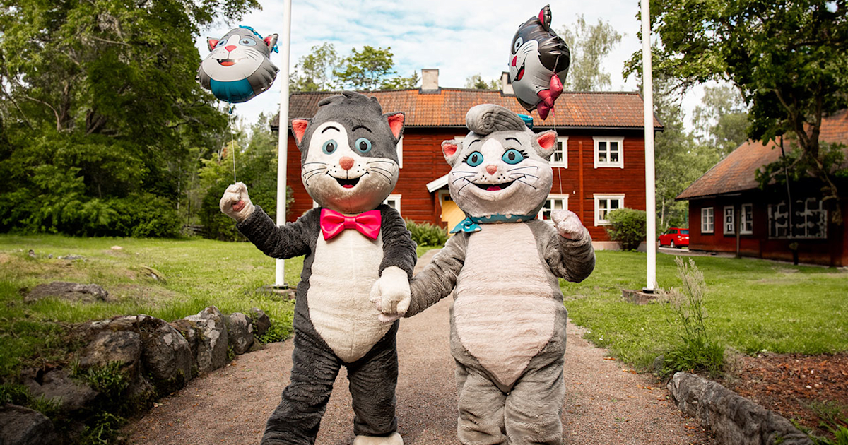 Furuvik rabatt – Spara på entré och åkpass med OBOS! | OBOS