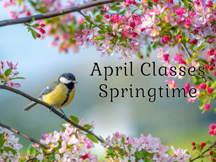 April Evening Wednesday Classes - Springtime