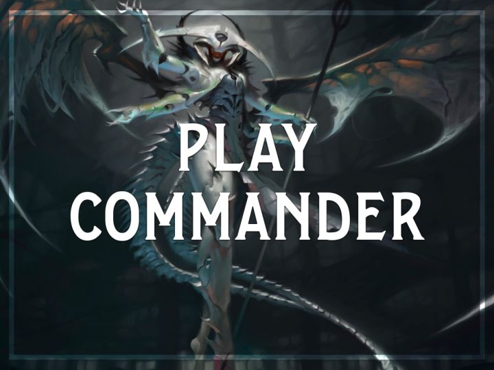 MTG Commander Night