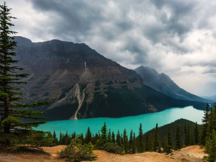 Banff Through the Lens: A Photography Workshop in the Heart of the Rockies