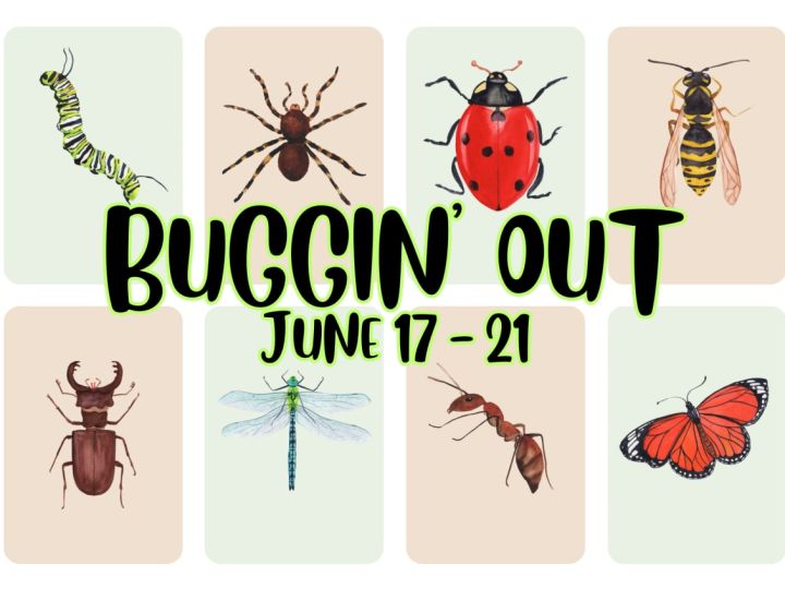 Buggin' Out Camp 2024