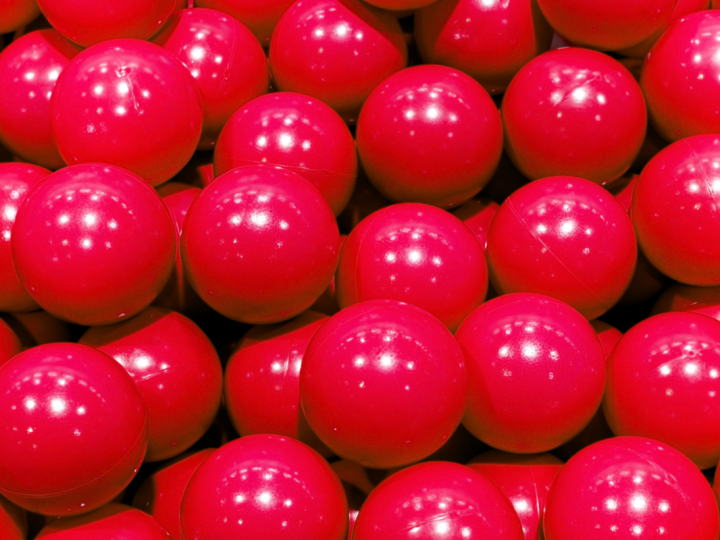 Class Trip - Staten Island