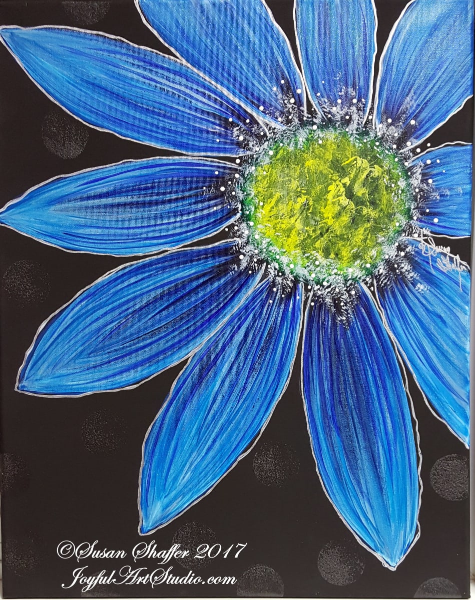 Blue Shasta Daisy