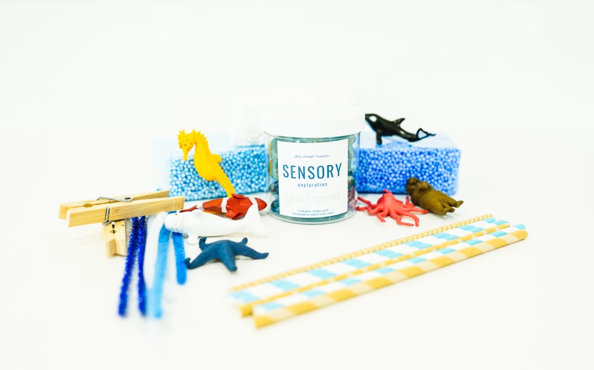 Sensory Exploration Kit Ocean