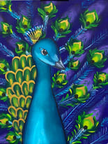 Iridescent Mr. Peacock