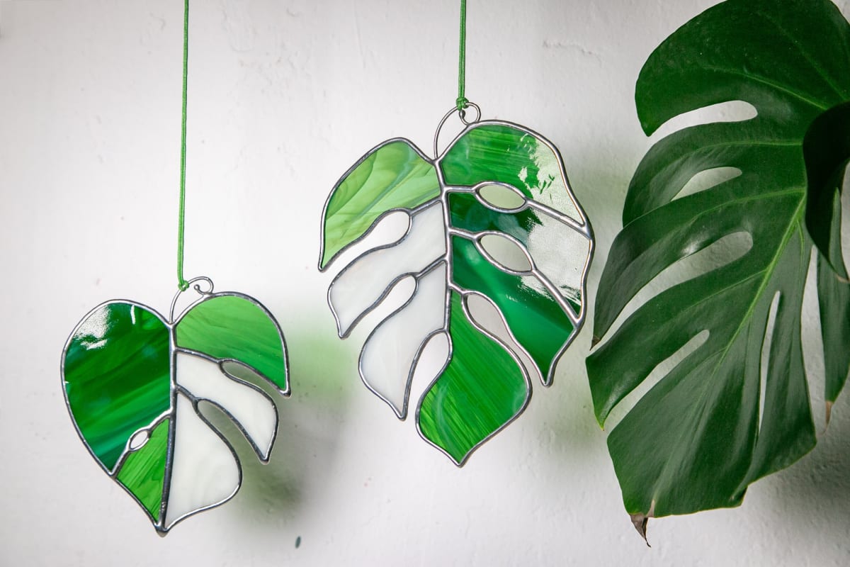 BYB Stained Glass Monstera Plant