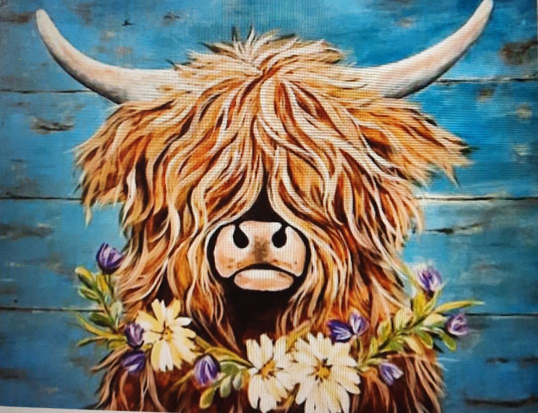 Spring is Here! Pick Your Painting Highlander in Bloom or Pretty in Purple