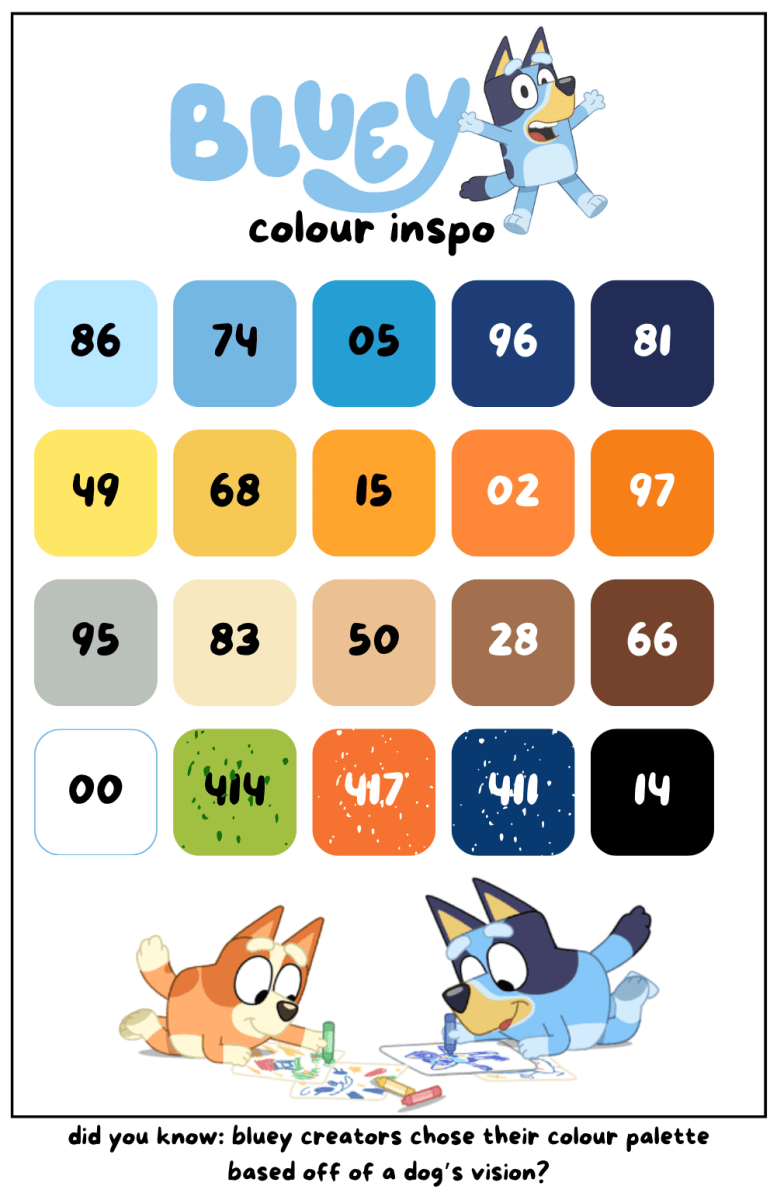 Bluey Pottery & Paint Night