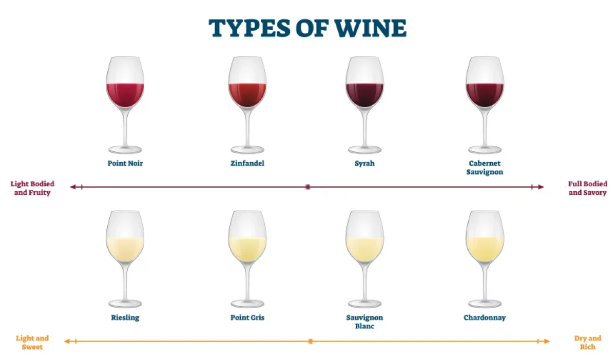 Wine 101 with Brent Grider - 11/13/2025