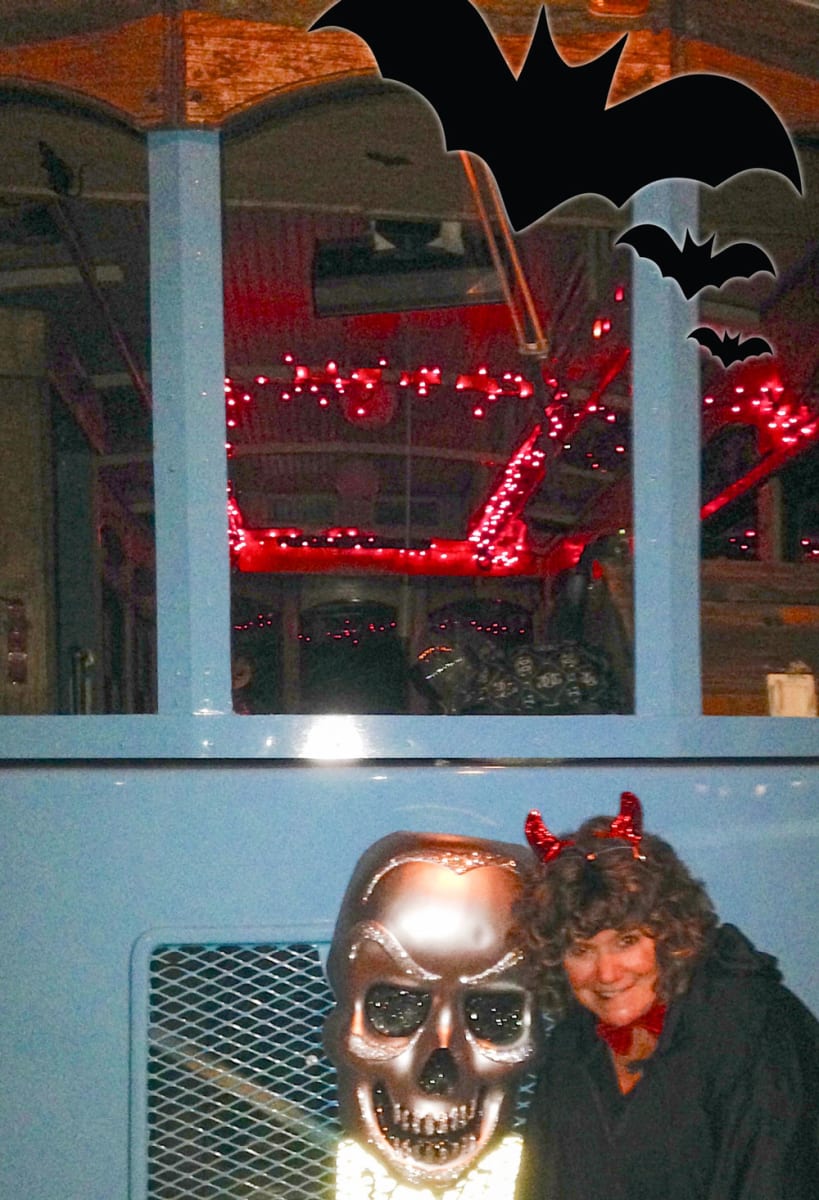 SOUTHERN OCTOBER HALLOWEEN LIGHT TOURS