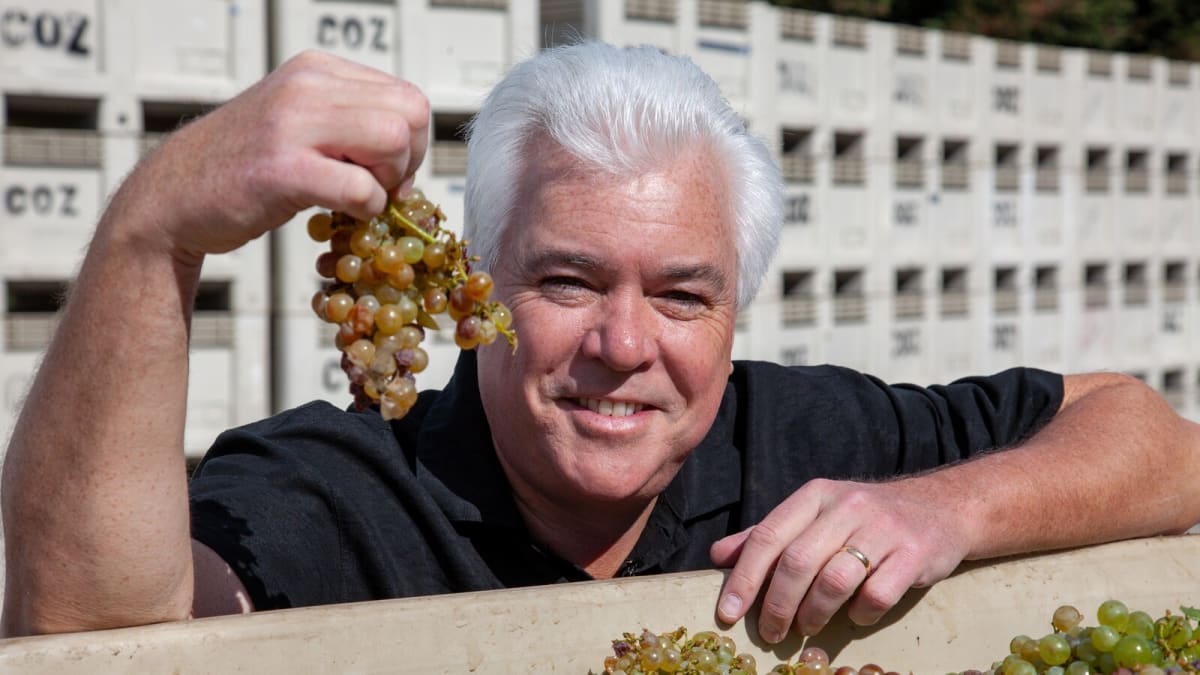 Wines 101 with Dave Eckert - 10/17/2024