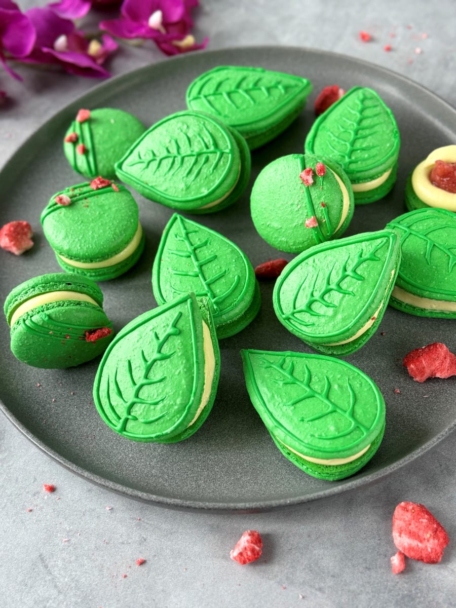 Book Signing and Demo: Pastry Chef Fred Csibi-Levin: Mastering Macarons