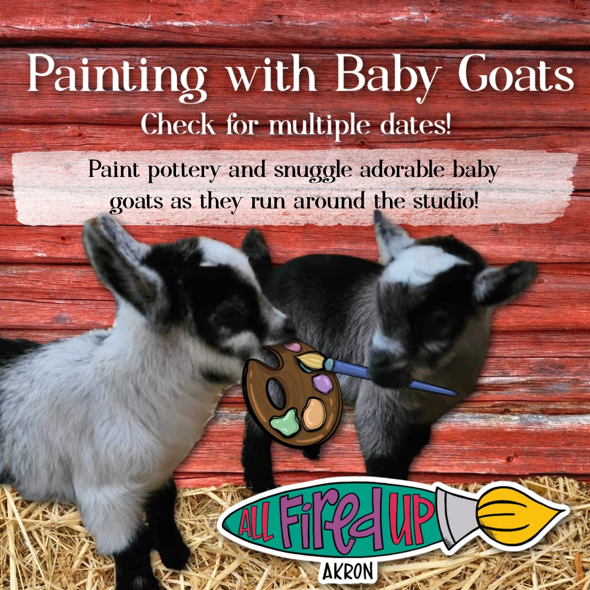 Painting with Baby Goats