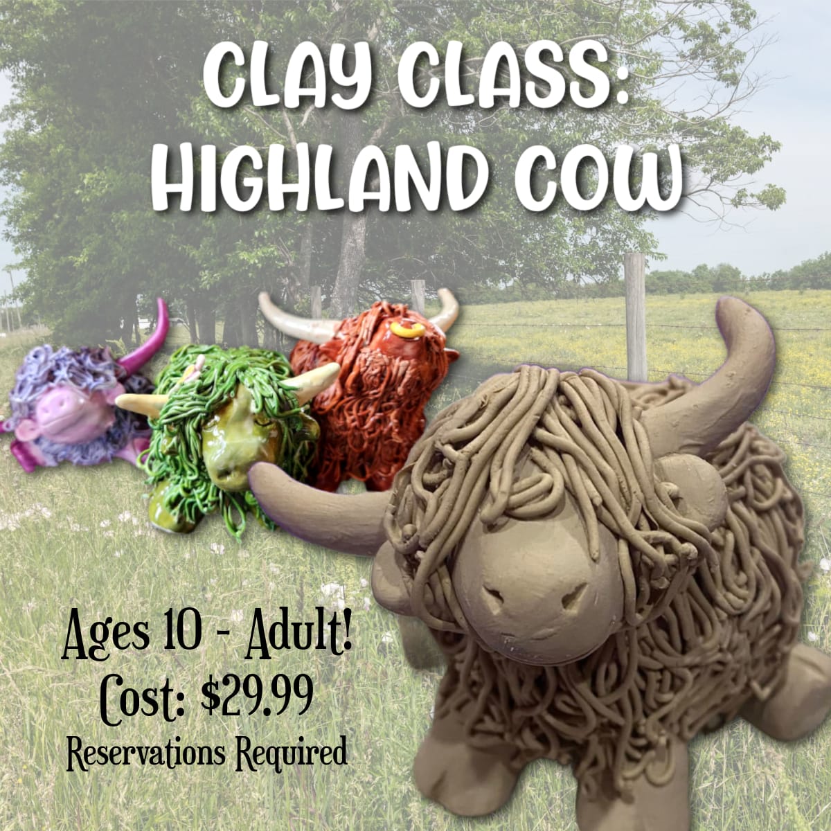 Clay Class: Highland Cow