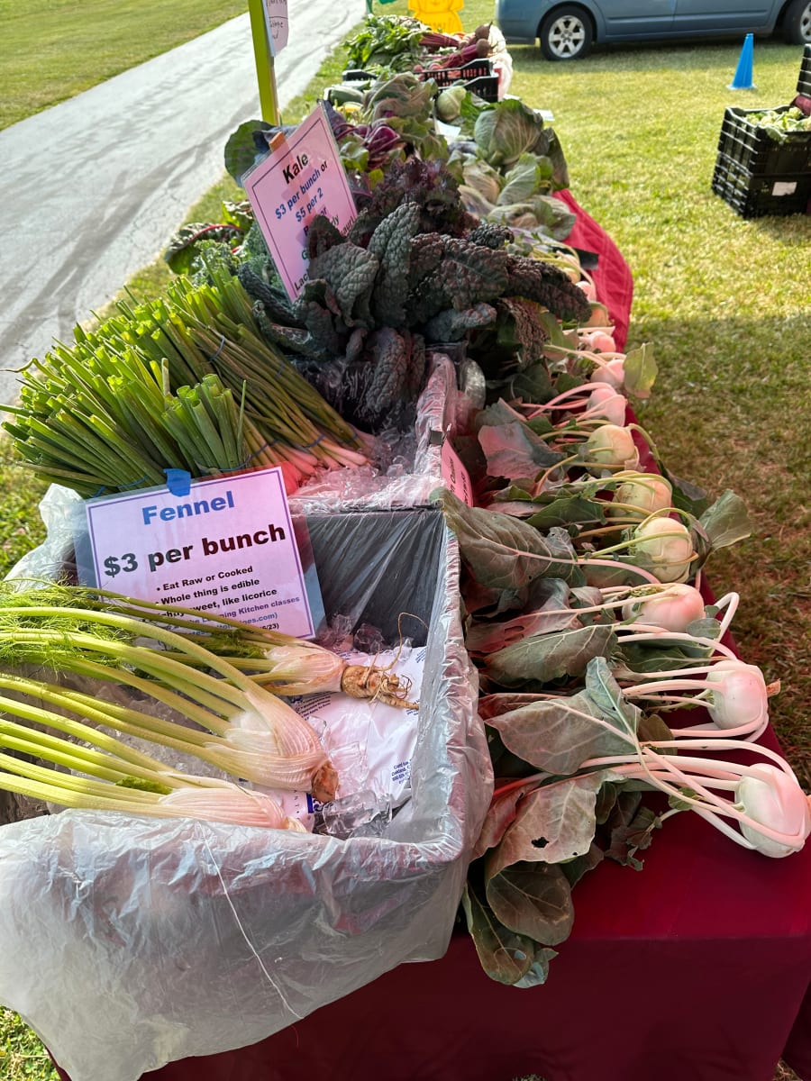 Demo & Taste: Seasonal Market Basket Surprise